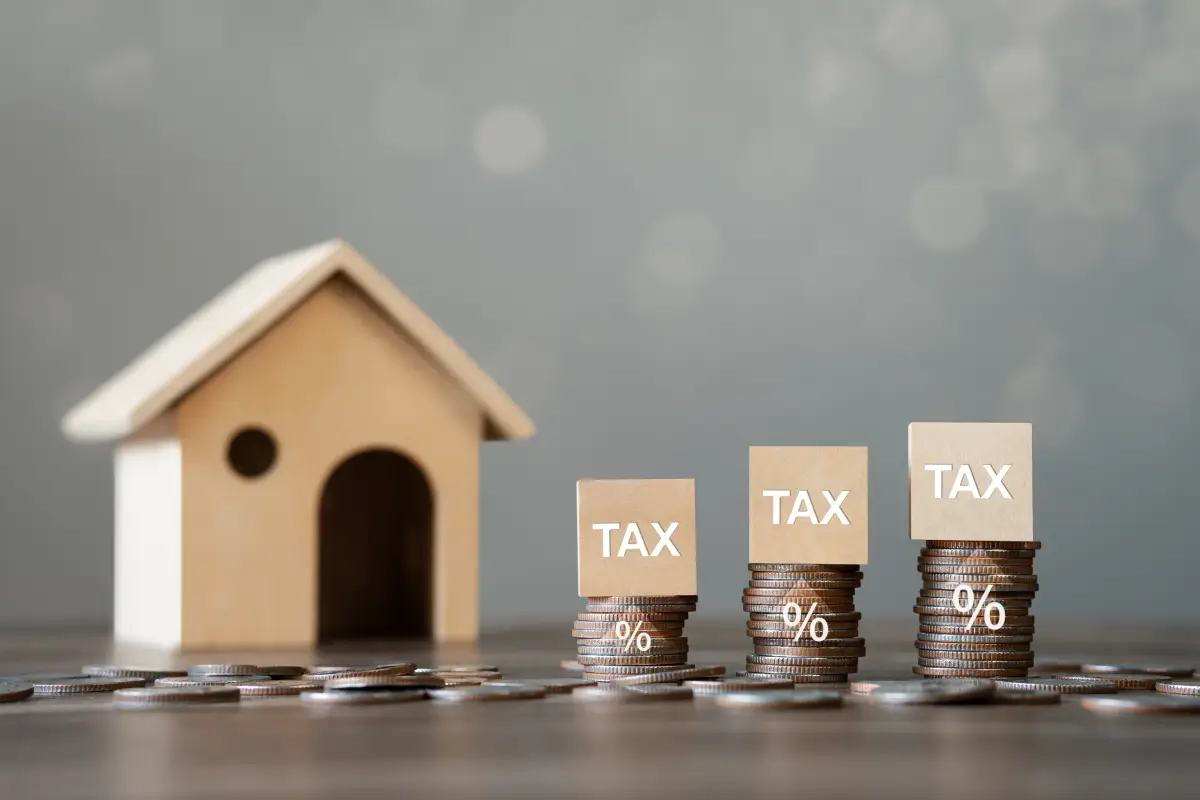 Impuesto sobre adquisición de inmuebles: ¡tipos! | Vía del Bosque